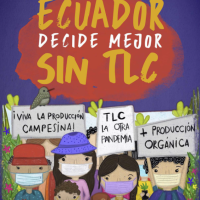 Análisis sobre los peligros del TLC Ecuador-EEUU | bilaterals.org