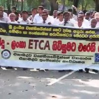 Taking a closer look at ETCA | bilaterals.org