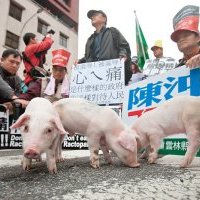 Petition: No to poisonous pork, fight for health and democracy ...